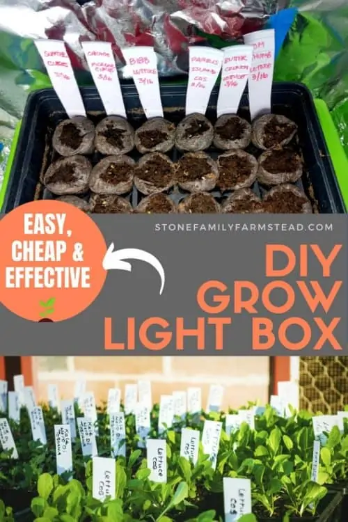 How to Make a Cheap and Effective DIY Grow Box